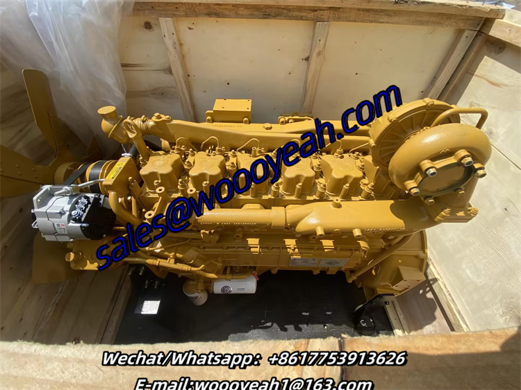 612600012909 WD110G220E21 diesel engine applicable for weichai spare ...