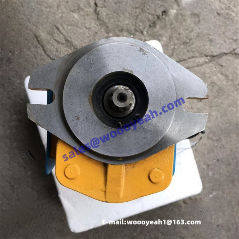 9F662-54D040000A0 gear pump applicable for LOVOL FUTON – Woooyeah Co., LTD