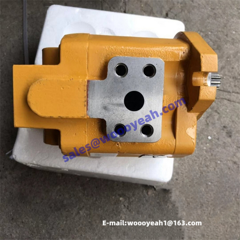 9F662-54D040000A0 gear pump applicable for LOVOL FUTON – Woooyeah Co., LTD