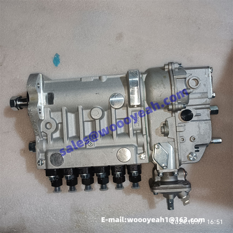 5254736 fuel injection pump applicable for CUMMINS engine – Woooyeah Co ...