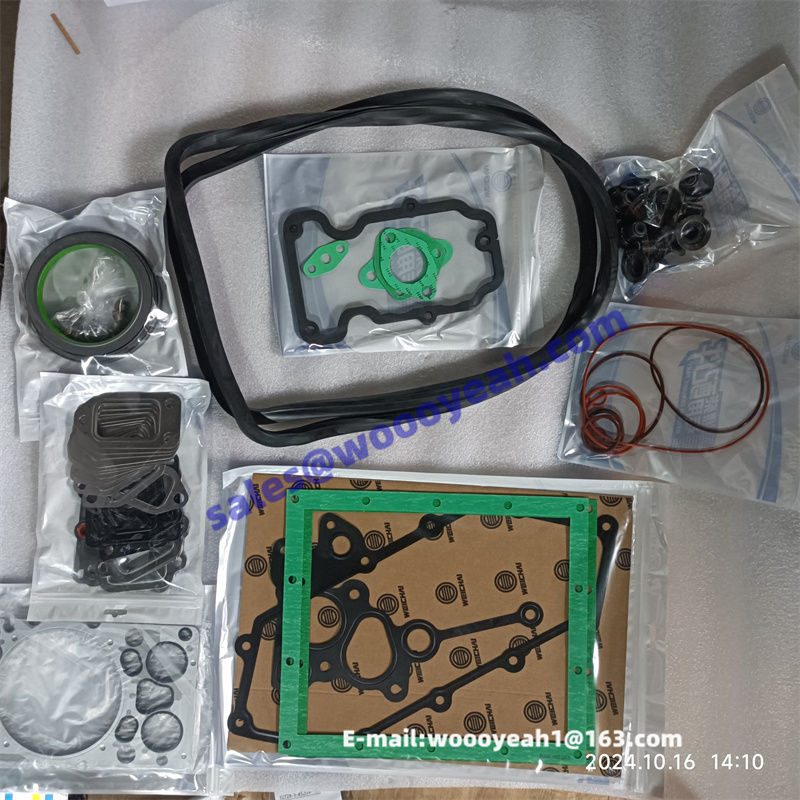 1005864937 engine repair kits applicable for WEICHAI – Woooyeah Co., LTD