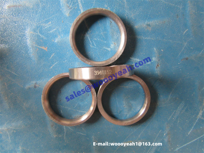 3940152 SP126904 exhaust valve applicable for Cummins – Woooyeah Co., LTD