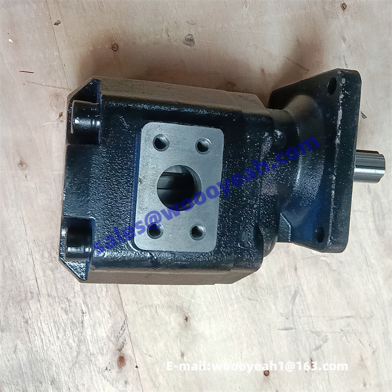 860116129 CBGJ2100 gear pump applicable for XCMG ZL50G – Woooyeah Co., LTD