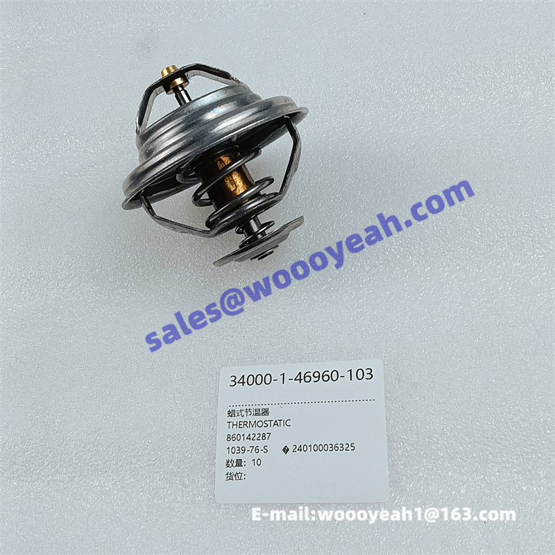 860142287 1039-76-S thermostat applicable for YTO – Woooyeah Co., LTD