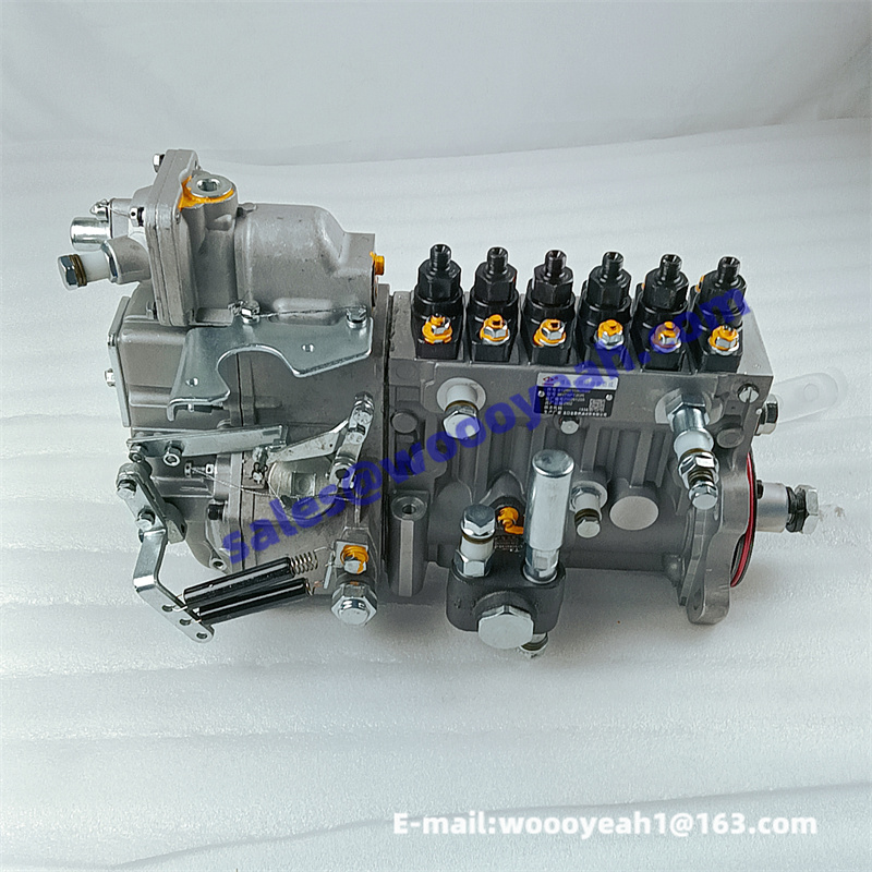 612601080880 BHT6P120R fuel injection pump applicable for Weichai ...