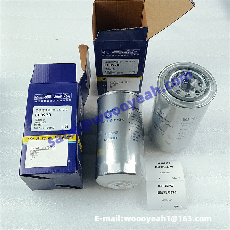 860113207 Z00250682 LF3970 fuel filter applicable for Lonking ...
