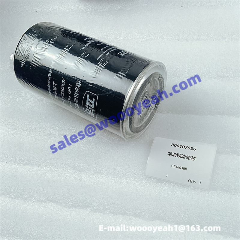 40C0449 FS19732 3973233 860119289 fuel filter applicable for Liugong ...