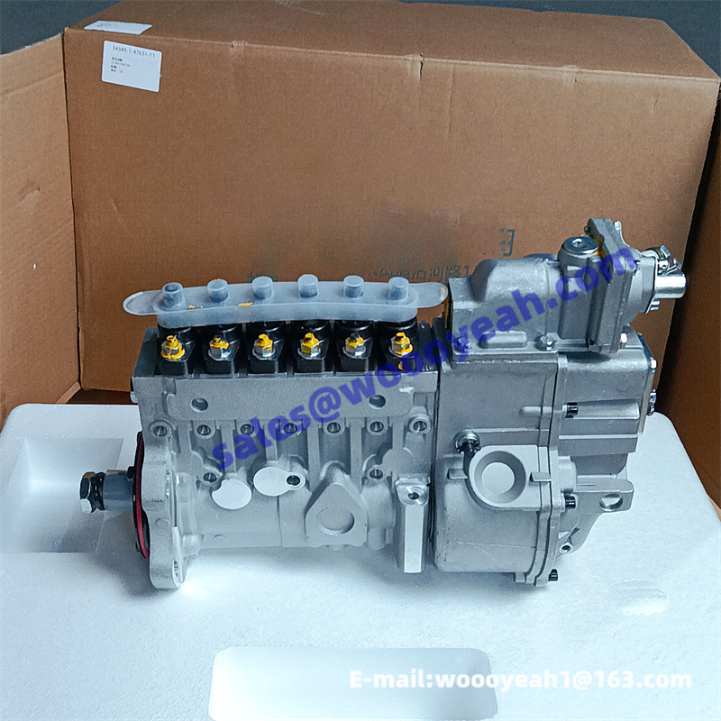 612601080746 fuel injection pump applicable for Weichai – Woooyeah Co., LTD