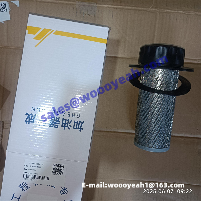 4110000612 QL8 fuel tank filter applicable for SDLG LG933L – Woooyeah ...