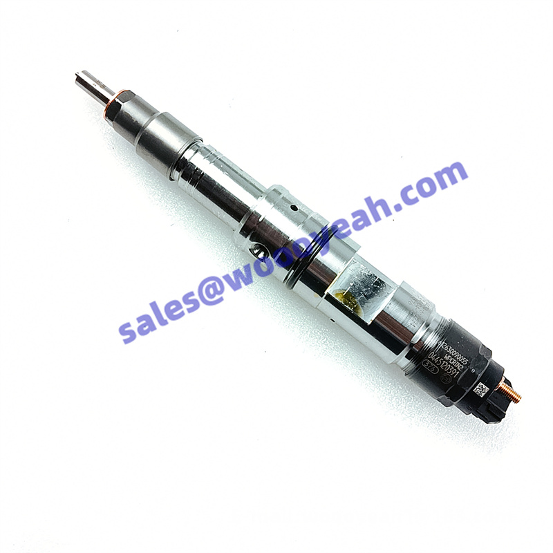 612630090055 0445120391 fuel injector applicable for Weichai – Woooyeah ...