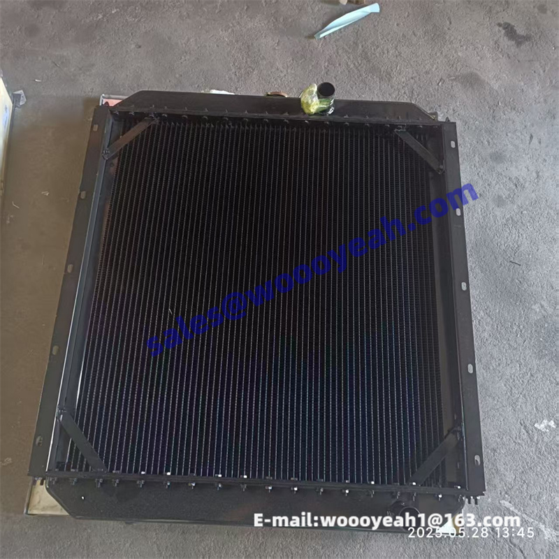 17101000550 LG855BN.01.04 radiator assy applicable for Lonking LG855BN ...