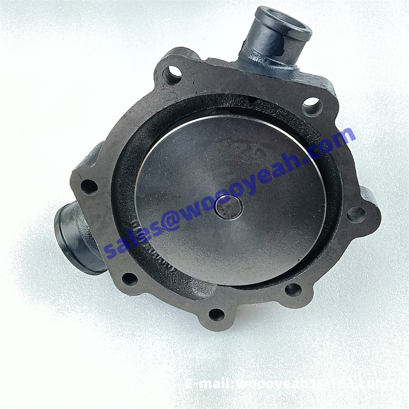 100054019 water pump for Weichai Deutz – Woooyeah Co., LTD